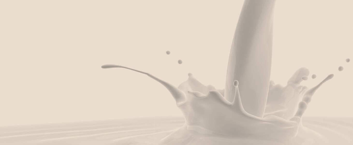 Farm Fresh Klimom Indian Cow Milk in Hyderabad-Glorious Indian GirCows