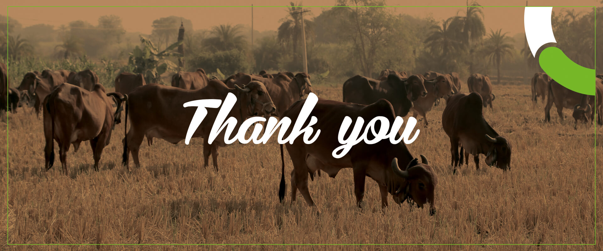 Dessert-Thank-You - Klimom